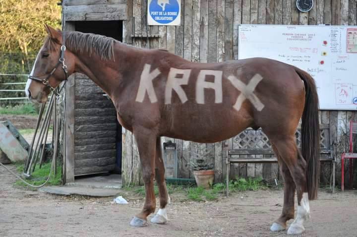 L'ambiance Krax - Krax-Moto